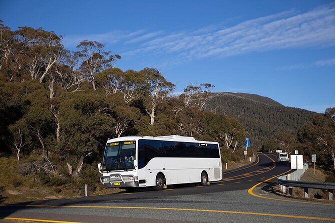 Thredbo or Perisher Bus Trip from Canberra - The Value of Ease and Convenience