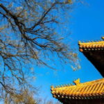 Tickets to all Beijing attractions (Forbidden City optional) - Who Is This Experience Best For?