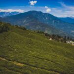 Tiger Hill Darjeeling Nature Walk (3 Hours Guided Tour) - Why This Tour Offers Good Value