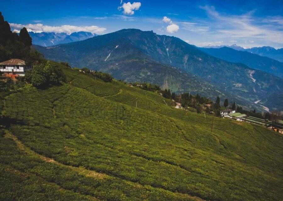 Tiger Hill Darjeeling Nature Walk (3 Hours Guided Tour) - Why This Tour Offers Good Value