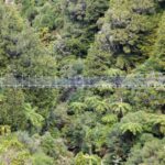 Timber Trail One Day Mountain Bike Ride - Shuttle Service - Who Should Consider This Tour?