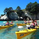 Timber Trail - Ongarue to Pureora Shuttle 2 Day Ride - An Overview of the Timber Trail Experience
