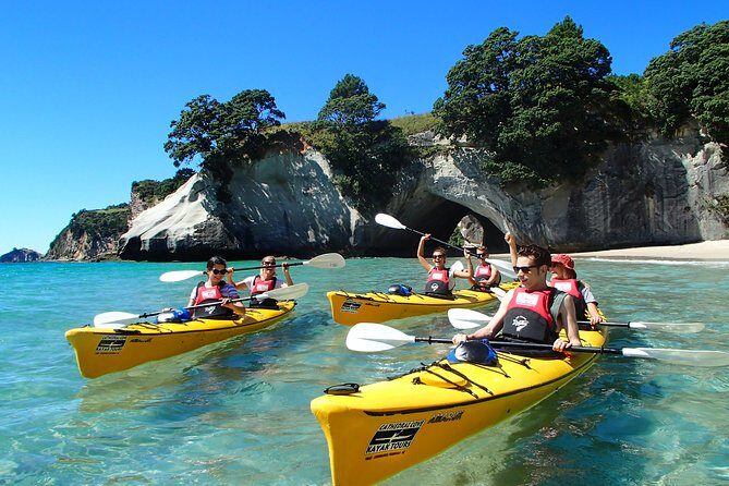 Timber Trail - Ongarue to Pureora Shuttle 2 Day Ride - An Overview of the Timber Trail Experience