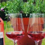 Tintilla Estate: Wine Tasting with a Meat and Cheese Platter - Who Should Consider This Tour?