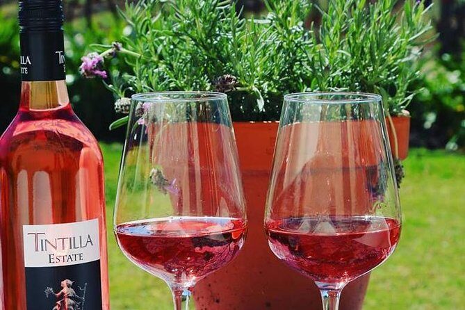 Tintilla Estate: Wine Tasting with a Meat and Cheese Platter - Who Should Consider This Tour?