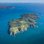 Tiritiri Matangi Island Discovery - from Auckland - Who Will Appreciate This Tour?