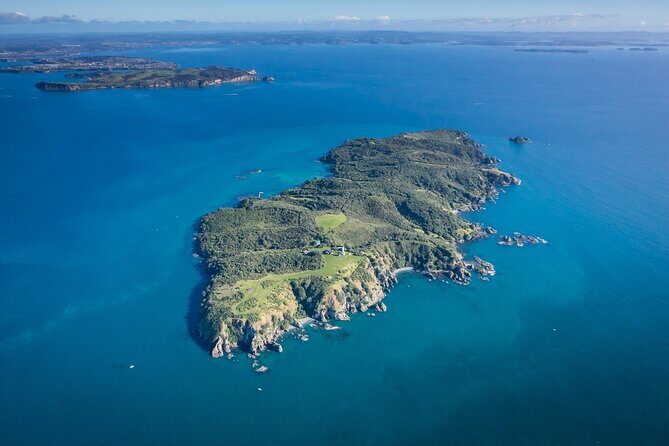 Tiritiri Matangi Island Discovery - from Auckland - Who Will Appreciate This Tour?