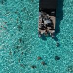Toa Boat Bora Bora Private Lagoon Tour On Entertainer Bar Boat - Authentic Experiences from Travelers