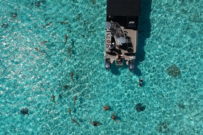 Toa Boat Bora Bora Private Lagoon Tour On Entertainer Bar Boat - Authentic Experiences from Travelers