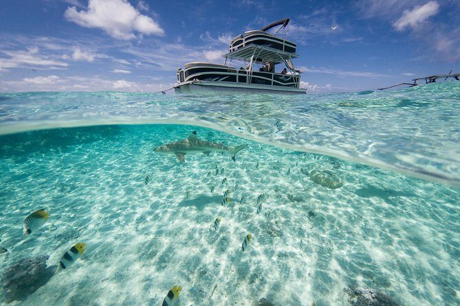 Toa Boat Bora Bora Private Lagoon tour with Lunch on Ambassador Boat - Is This Tour Worth the Price?