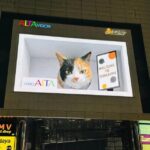 Tokyo: 4 Hours Shibuya - Shinjuku Night Tour - What to Expect from the Tour