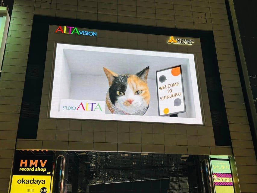 Tokyo: 4 Hours Shibuya - Shinjuku Night Tour - What to Expect from the Tour
