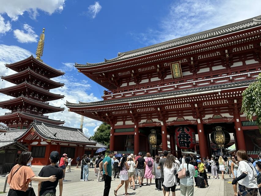 Tokyo: A Half-Day Trip Bus Tour in the Morning - Value for Money and Overall Impression