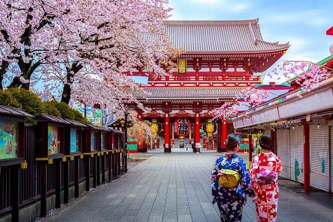 Tokyo Airport Transfers: Tokyo-Narita Airport NRT to Tokyo City in Business Car - Why This Transfer Is Worth Considering