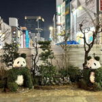 Tokyo: Akihabara, Shibuya, Karaoke & City Lights Night Tour - Who Is This Tour Best For?
