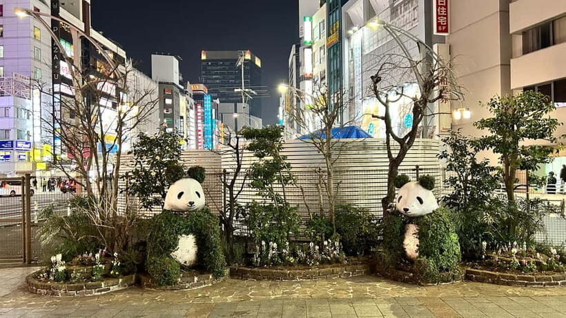 Tokyo: Akihabara, Shibuya, Karaoke & City Lights Night Tour - Who Is This Tour Best For?