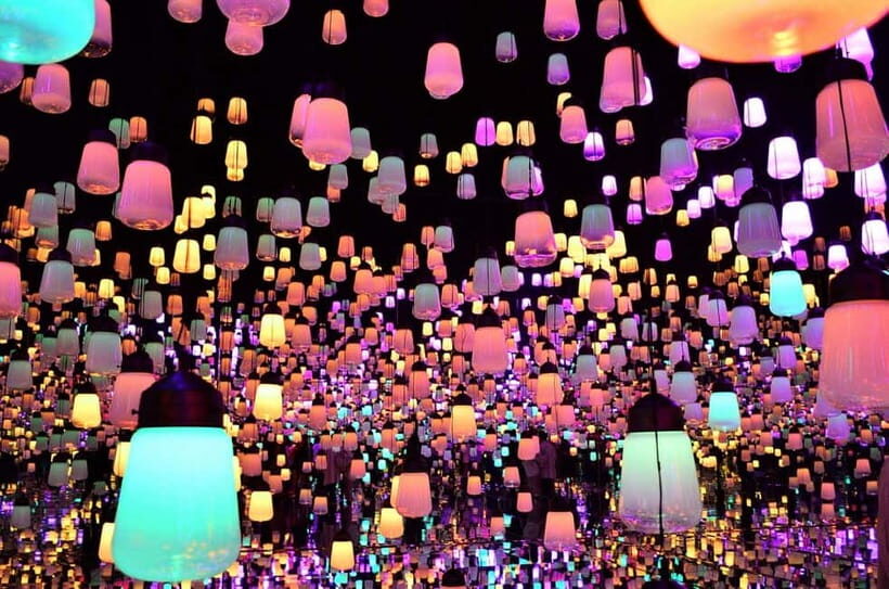 Tokyo: All Inclusive "Neo Tokyo" Private Tour - Who Will Love This Tour?