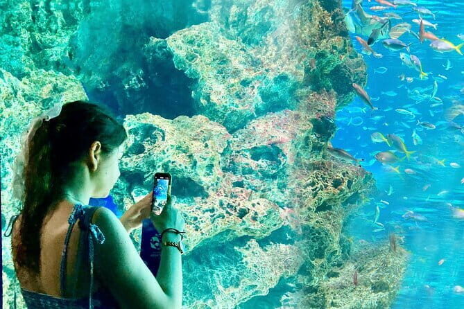 Tokyo, Aquarium Backyard Tour and View Observatory in Ikebukuro - Who Should Consider This Tour?