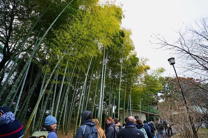 Tokyo Castle & Imperial Palace , Historical Walking Tour - The Sum Up