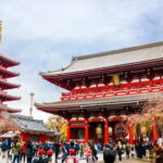 Tokyo City of Lights Private Tour Sightseeing Tour Private - Why This Tour Works Well for Certain Travelers
