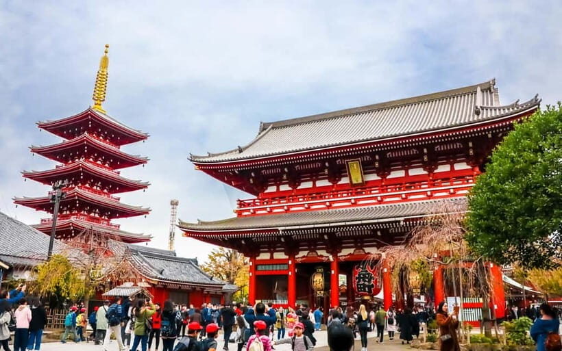 Tokyo City of Lights Private Tour Sightseeing Tour Private - Why This Tour Works Well for Certain Travelers