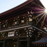 Tokyo City Private Full Day Tour - In-Depth Planning: What to Expect