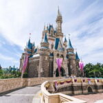 Tokyo Disneyland: 1-Day Entry Ticket and Private Transfer - Who Will Love This Experience?