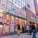 Tokyo: Exploring Anime & Electronics Tour in Akihabara - Why This Tour Is Worth Considering