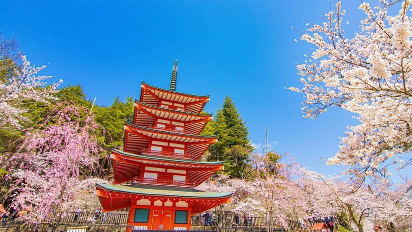 Tokyo: Fuji Cable Car Tour (Ticket Inc.)  Kawaguchiko Views - Practical Details & Tips