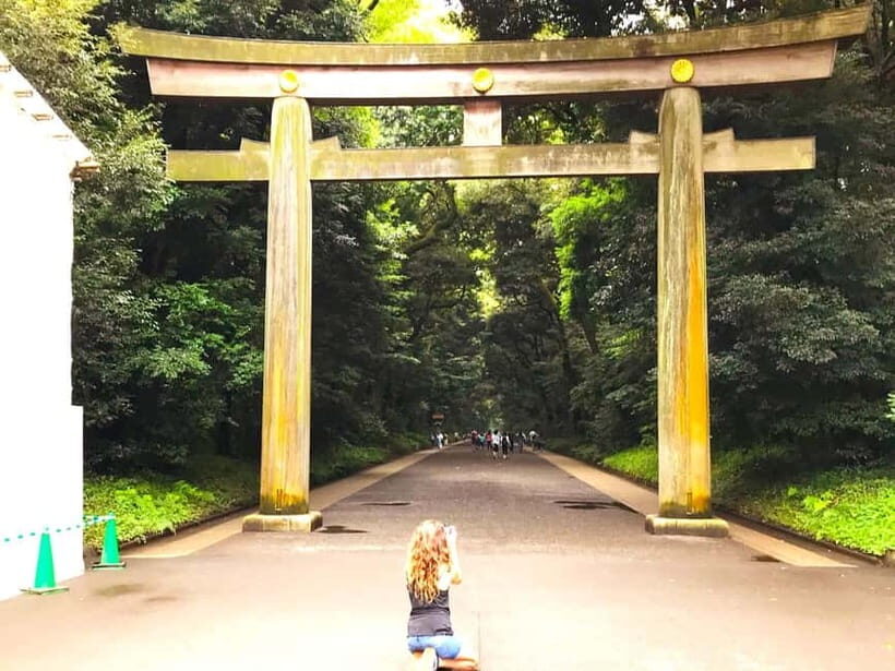 Tokyo: Full Course Tour: Explore 15 Must-Sees & Hidden Gems - What to Expect on the Tour