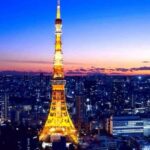 Tokyo Full-Day Private Customizable Tour With English Driver - The Real Value of a Private Tour in Tokyo