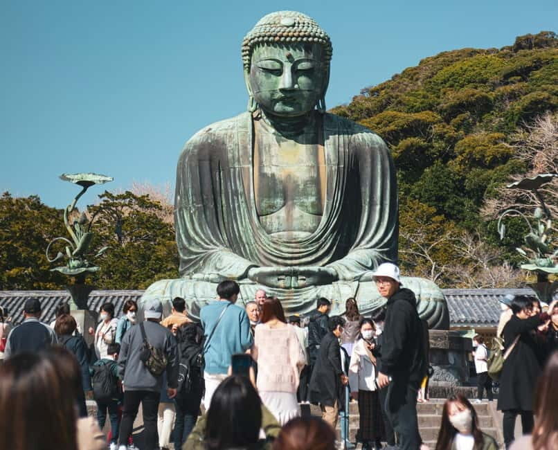 Tokyo: Full-day Private Kamakura and Enoshima Tour w/ Driver - Who Should Consider This Tour