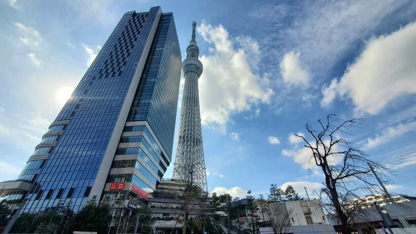 Tokyo Full-Day Private Tour (Customizable) - Who Will Enjoy This Tour Most?