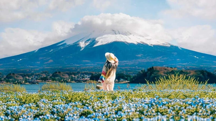 Tokyo: Full-Day Tour of the Six Majestic Spots of Mt Fuji - The Itinerary: A Closer Look
