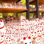 Tokyo: Gotokuji Lucky Cat Temple & Harajuku Shibuya Cat Café - Why Choose This Tour?