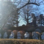 Tokyo: Great Buddha, Museums, Botanical Garden and More - How to Get the Most Out of the Experience