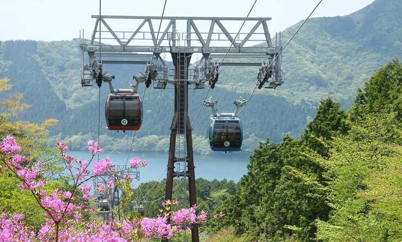 Tokyo: Hakone, Lake Ashi & Gotemba Outlets Day Trip - The Transport and Group Experience