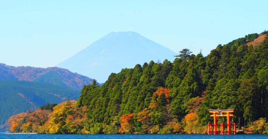 Tokyo: Hakone, Owakudani & Gotemba Premium Outlet 1-Day Tour - Who Should Consider This Tour?