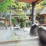 Tokyo: Hakones Best Onsen Tour with Lake Ashi Cruise - Who Will Benefit Most?