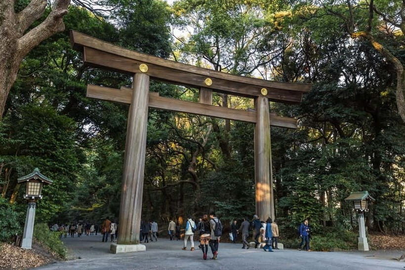 Tokyo: Half-Day Afternoon Small Group Tour - Who Should Take This Tour?
