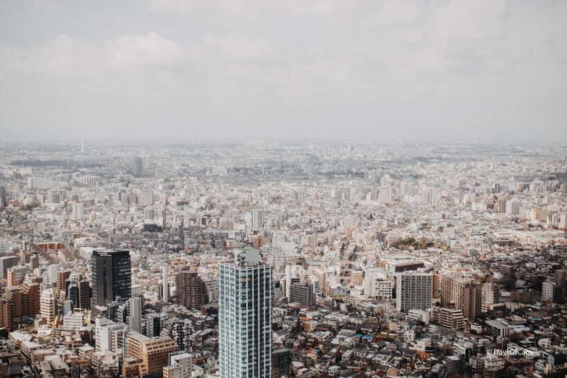 Tokyo, half day : private tour with an expert ! - What to Expect: Practical Details