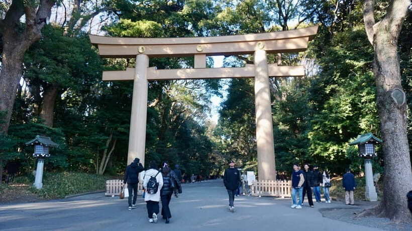 Tokyo: Harajuku Meiji Shrine 1h walking Explanation Tour - Why This Tour Offers Great Value