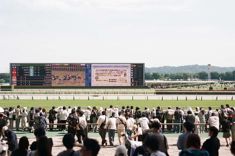 Tokyo: Horse Racing Tour with Local Fan - Who Should Book This Tour?
