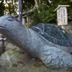 Tokyo: Ibaraki Day Trip with Hitachi Park & Fruit Picking - Who Will Love This Tour?