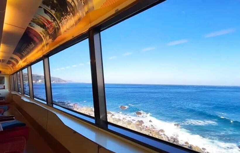 Tokyo: Izu Scenic Oceanview Train, Volcano, Coast Day Trip - Practical Tips for Travelers