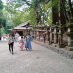 Tokyo-Kamakura-Hakone-Mt.Fuji-Nara-Kyoto-Osaka: 3-Day Tour - Final Thoughts: Who Will Enjoy This Tour?