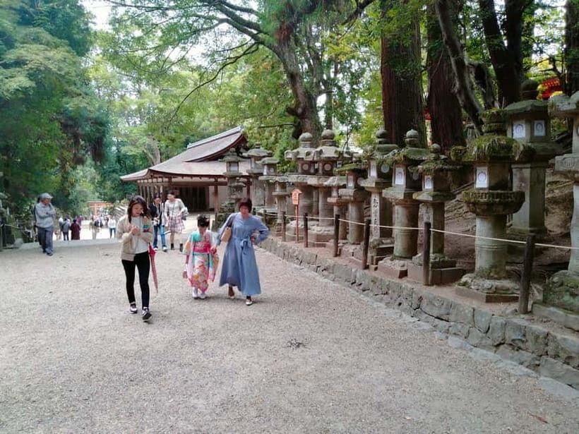 Tokyo-Kamakura-Hakone-Mt.Fuji-Nara-Kyoto-Osaka: 3-Day Tour - Final Thoughts: Who Will Enjoy This Tour?