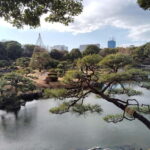 Tokyo: Kiyosumi, Hama-Rikyu, and Kyu-Yasuda Garden Tour - What Makes This Tour Stand Out?