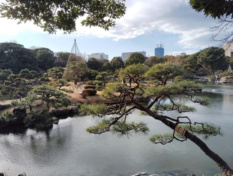 Tokyo: Kiyosumi, Hama-Rikyu, and Kyu-Yasuda Garden Tour - What Makes This Tour Stand Out?