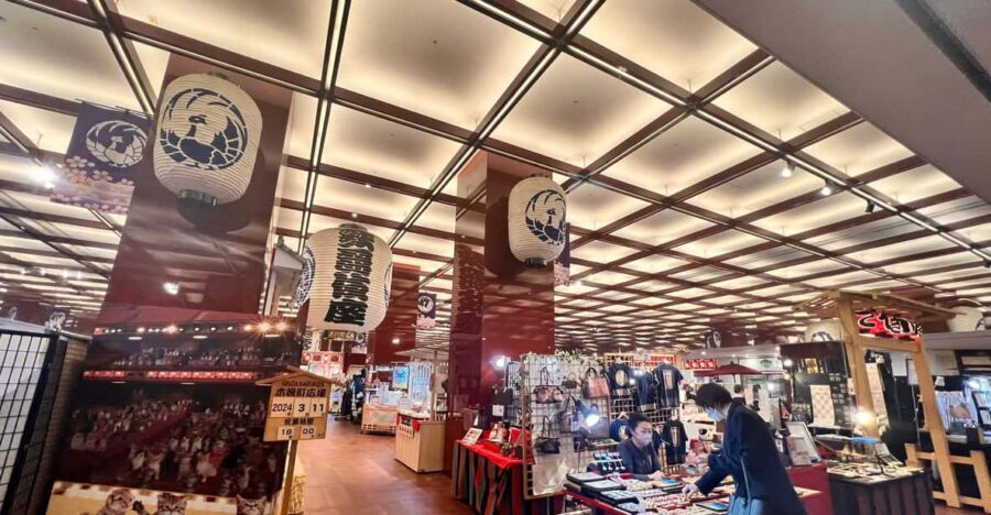 Tokyo: Learn about Japanese Traditional art KABUKI in Ginza - Who Should Consider This Tour